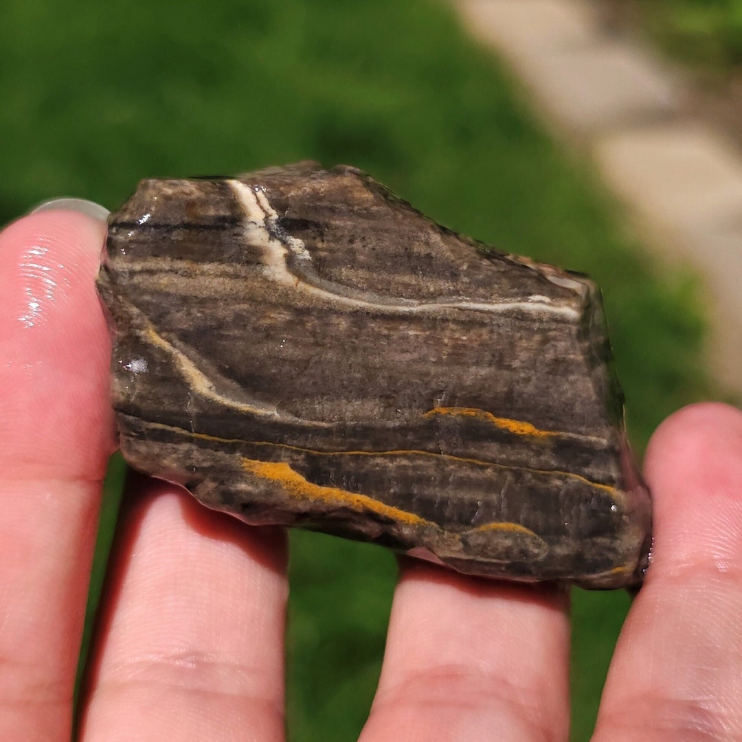 Dark Banded Flint Chert, Red Hematite, Yellow Limonite, Natural Shine ...
