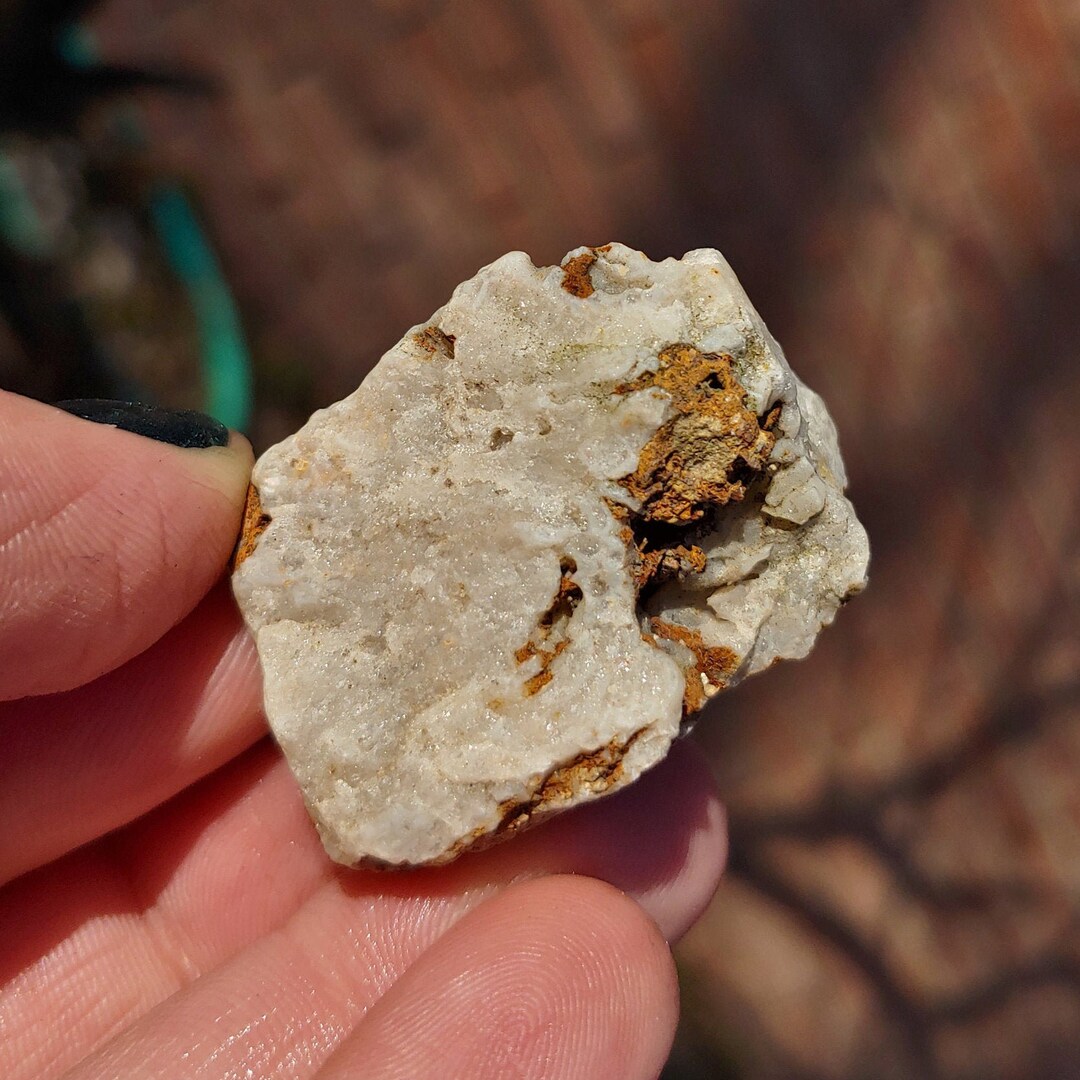 Partially Silicified Rugosa Horn Coral Ordovician Fossil, Druzy ...