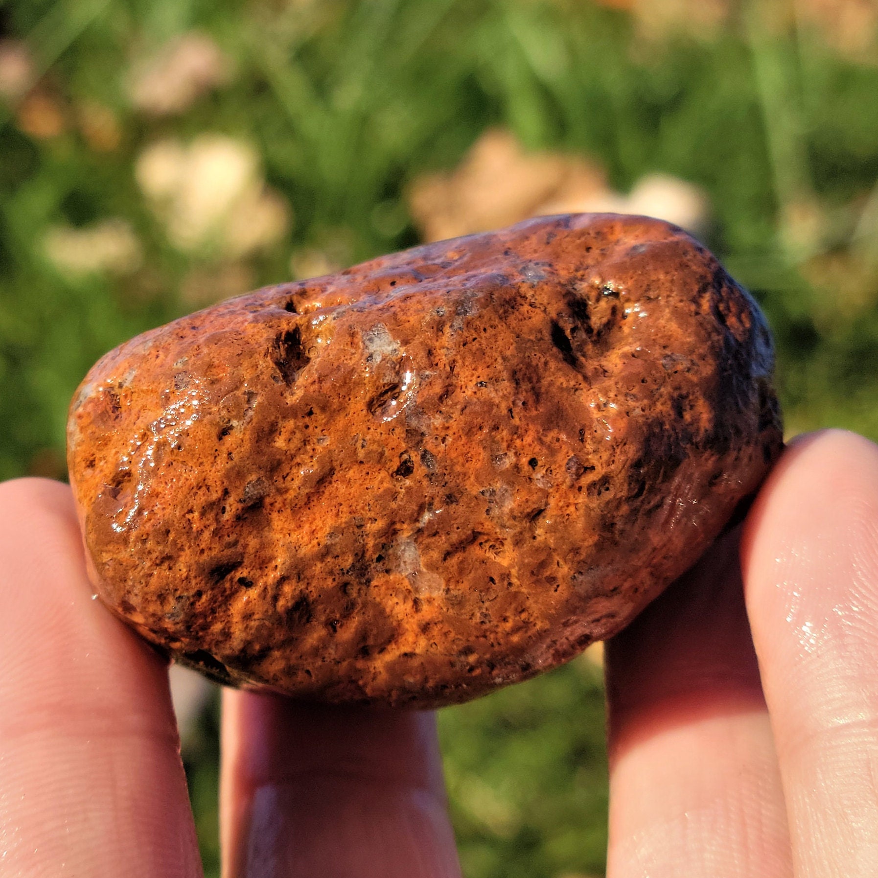 Large Vesicular Rhyolite Porphyry Volcanic Mineral Feldspar - Etsy