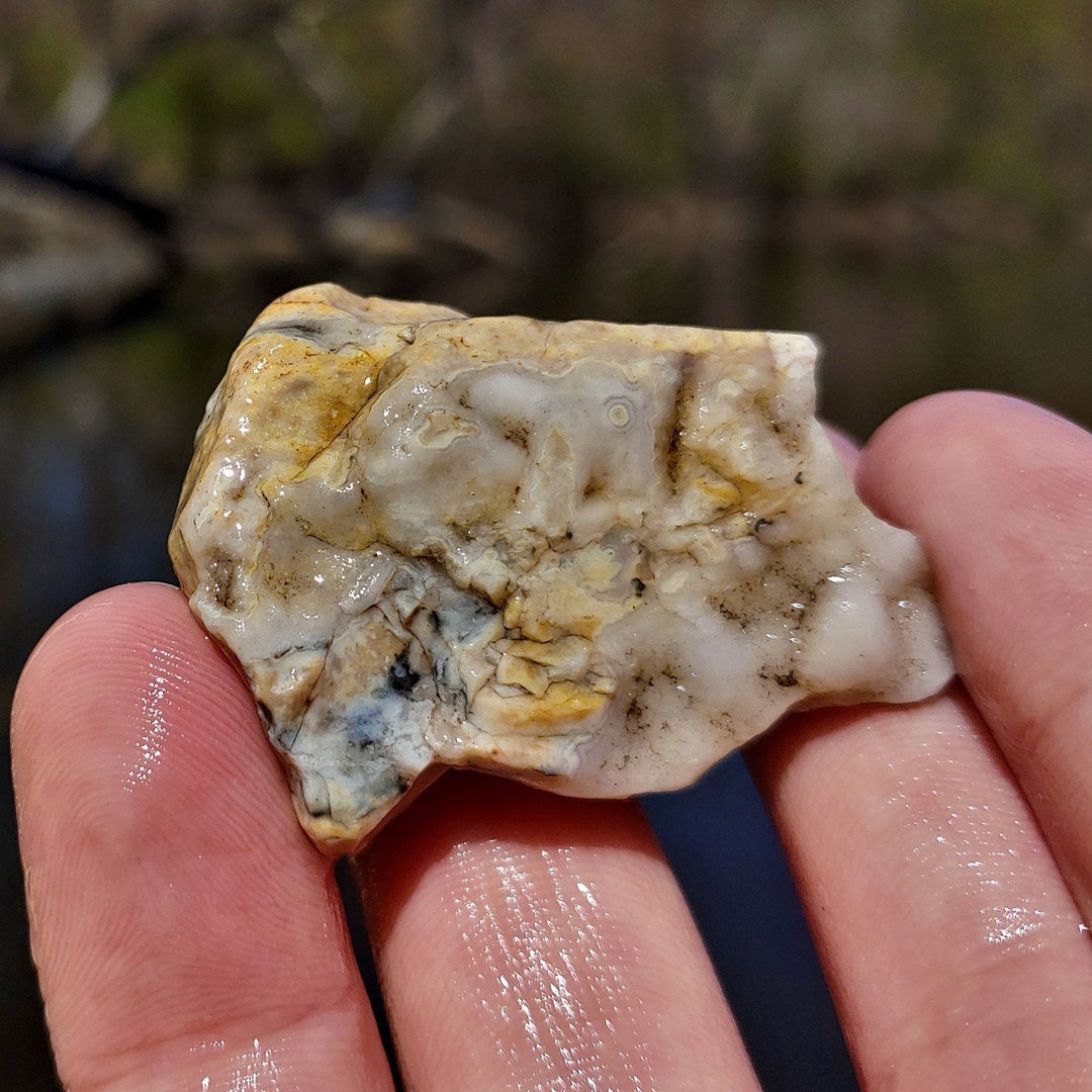 Coldwater Jasper Agate Fossiliferous Mississippi River Rock W Quartz ...