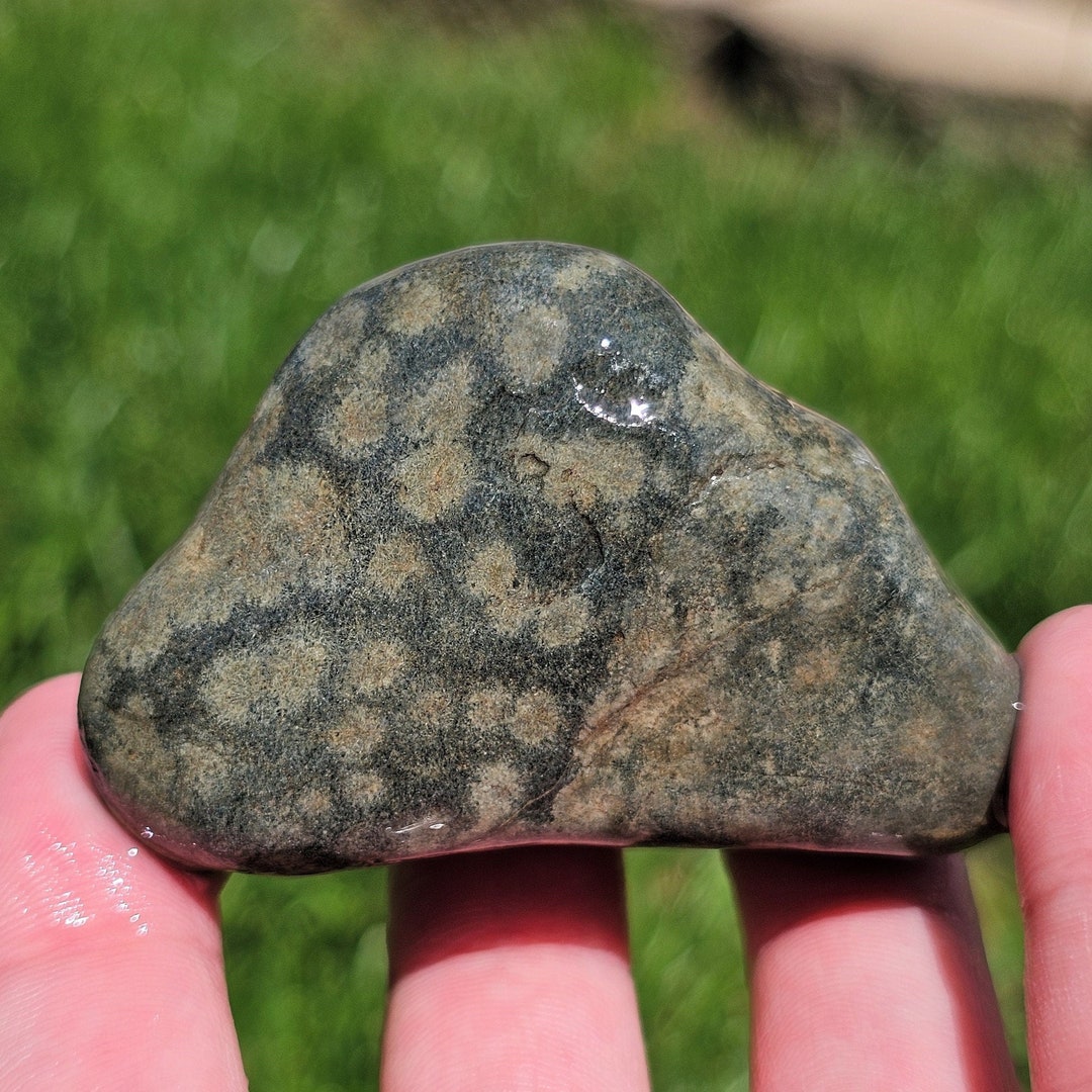 Variolite Basalt, Volcanic Rock, Plagioclase Feldspar, Precambrian Rock ...