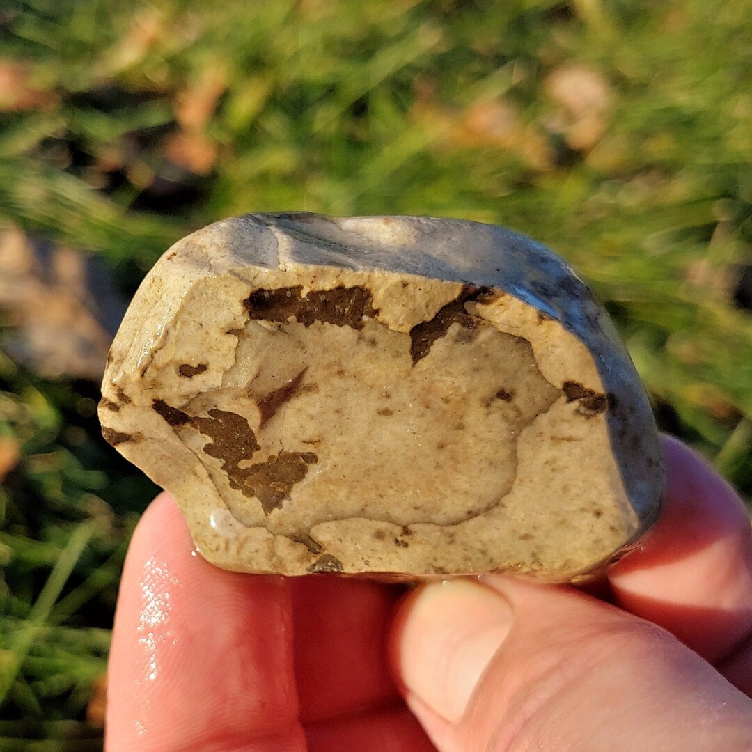 Unique Light Brown Banded Flint Chert Rock W Dark Brown Blotches ...