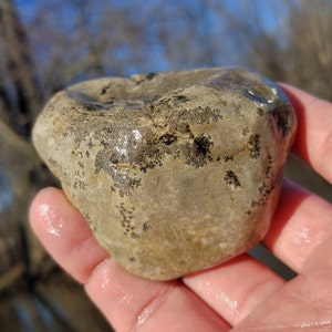 Dense Dendritic Limestone Rock, Manganese Dendrites Crystals ...