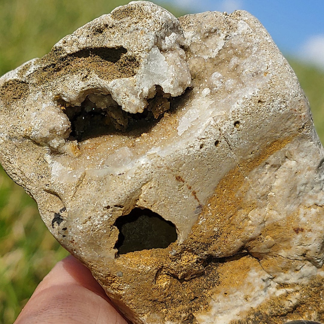 Unique Speckled Banded Chert Limestone Limonite W Sparkly Druzy Crystal ...