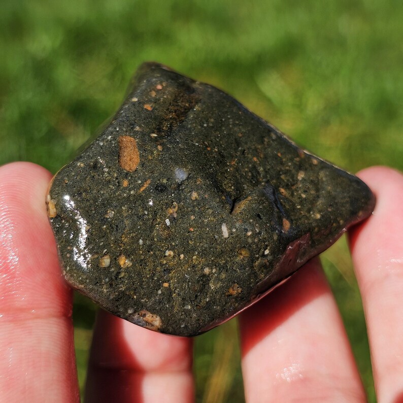 Gowganda Tillite Conglomerate, Puddingstone Breccia, Granite Pebbles ...