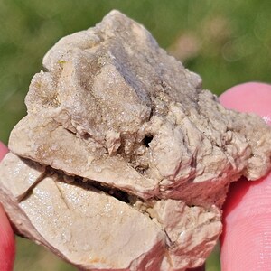 Mackinac Breccia Rock, Calcite Druzy, Limestone Conglomerate, Dolostone ...