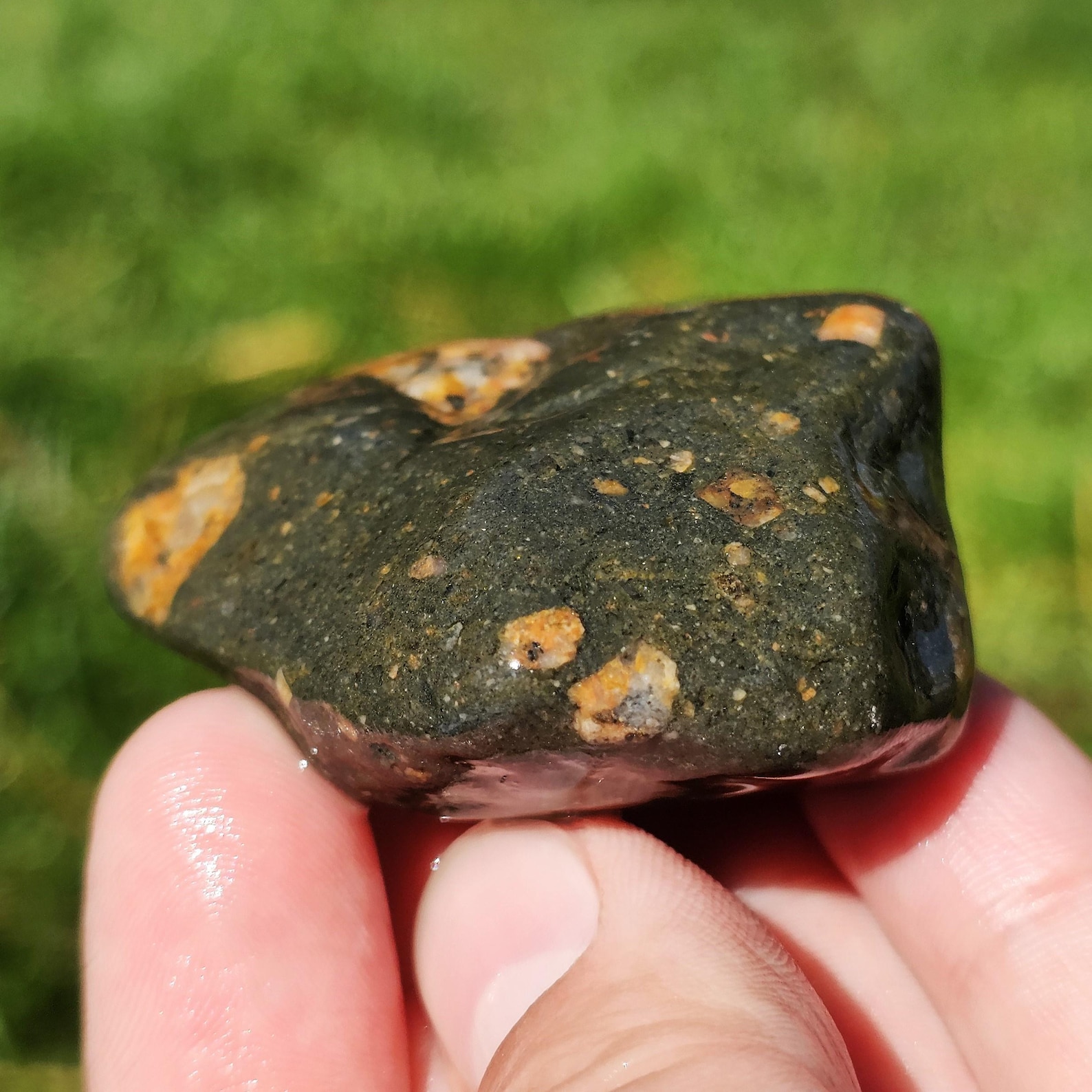 Gowganda Tillite Conglomerate, Puddingstone Breccia, Granite Pebbles ...