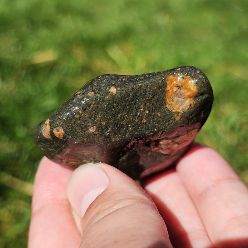 Gowganda Tillite Conglomerate, Puddingstone Breccia, Granite Pebbles ...
