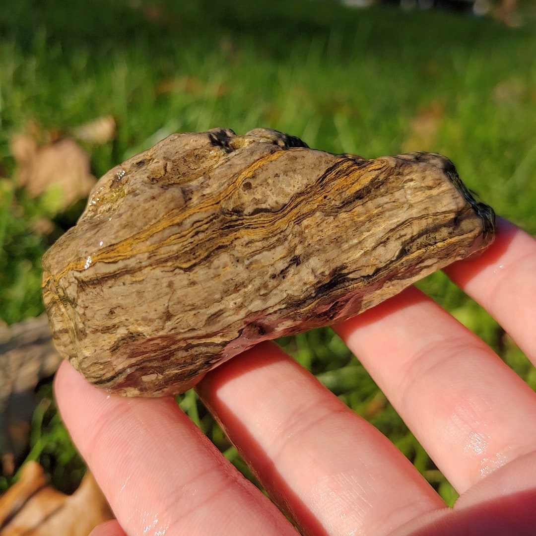 Large Banded Chert Rock, Striped Flint, Limonite Oxide, Fluorescent ...
