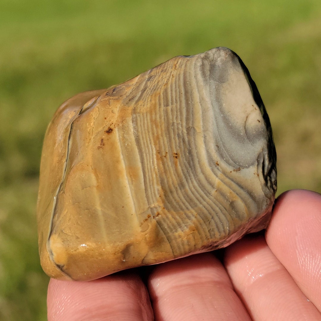 Large Banded Chert Rock, Crinoidal Fossil Remnants, Striped Flint ...