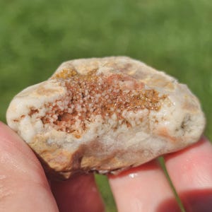 Oolitic Agatized Fossil Pseudomorph, Silicified Coral or Sponge Fossil ...