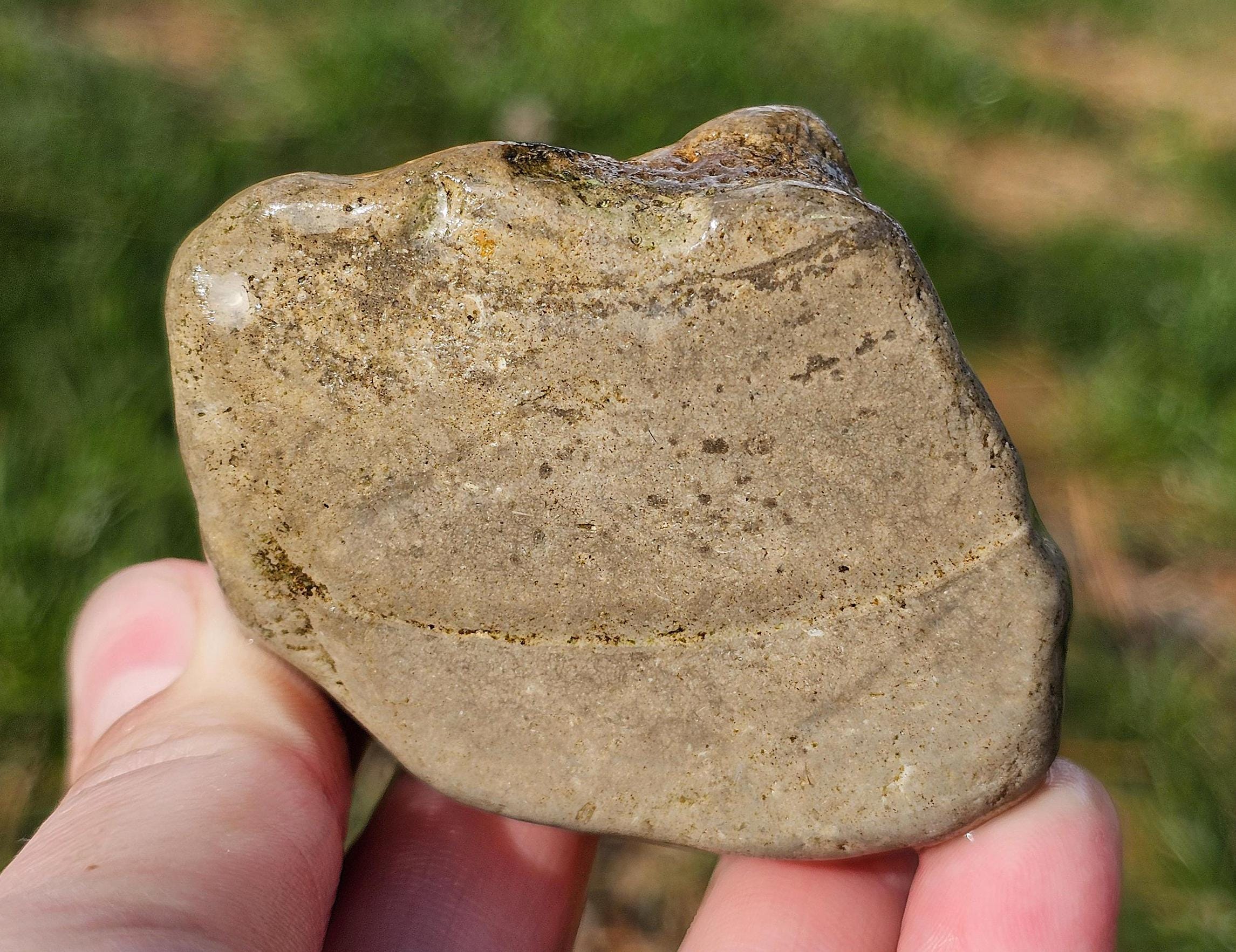 Fossiliferous Chert Nodules, Flint Nodules, Great Lake Huron, Michigan ...