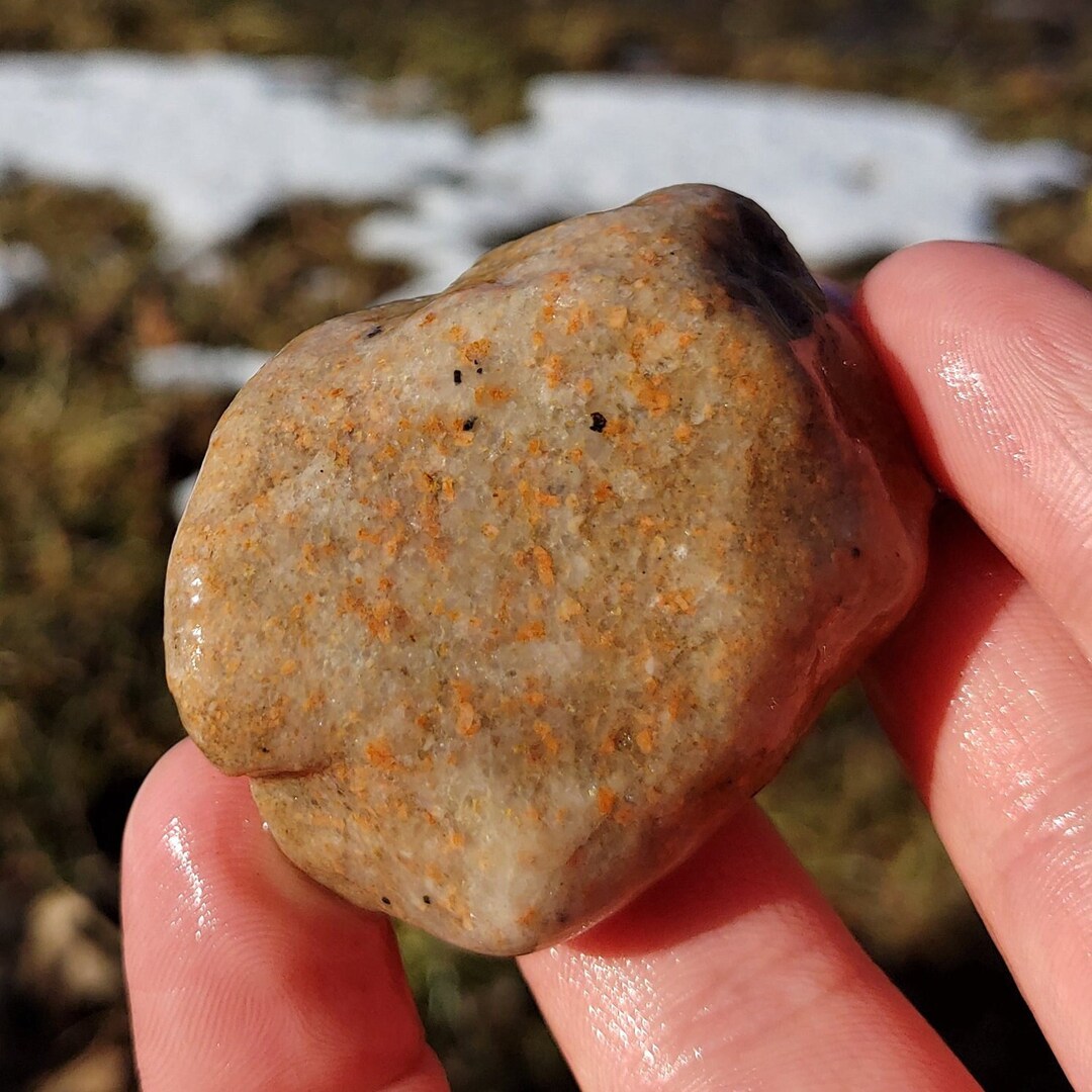 Medium Puddingstone Conglomerate Quartz Speckled W Peach Feldspar ...