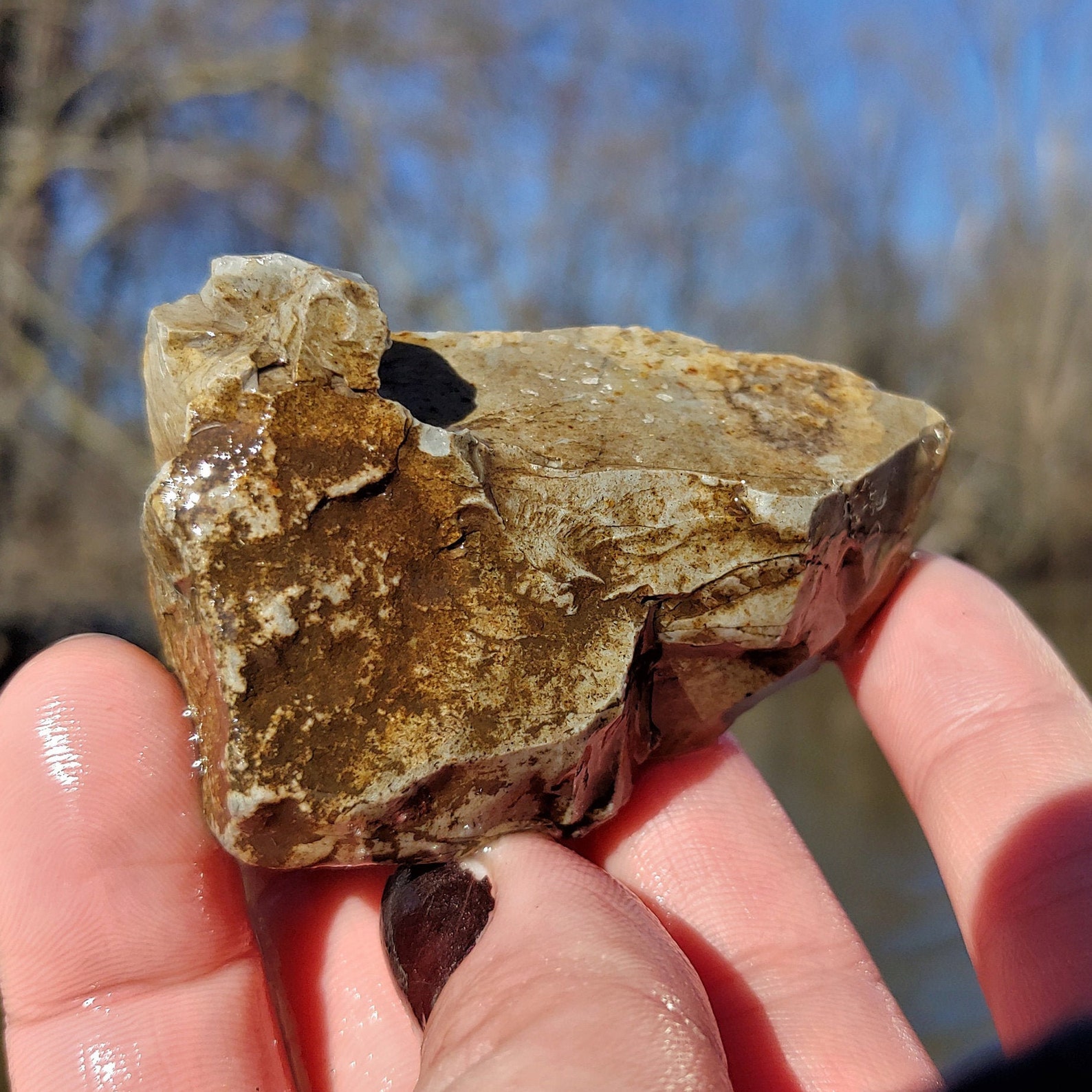 Large Grey Flint Chert Mineral Stone Covered by Black & | Etsy