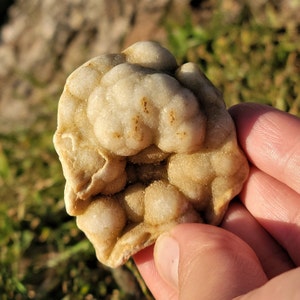Coldwater Lace Agate Stromatolite Fossil Mississippi River Rock ...