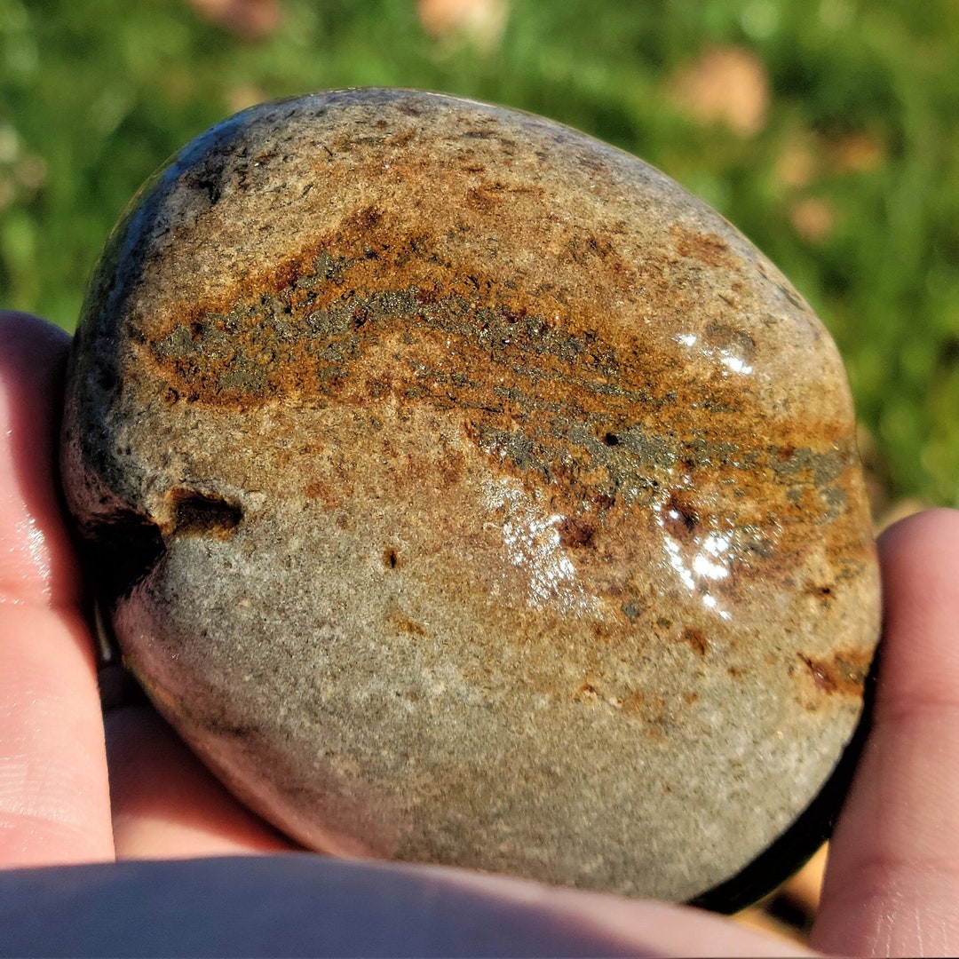 Pyritized Crinoidal Limestone, Devonian Rock Fossil, Fools Gold, Great ...