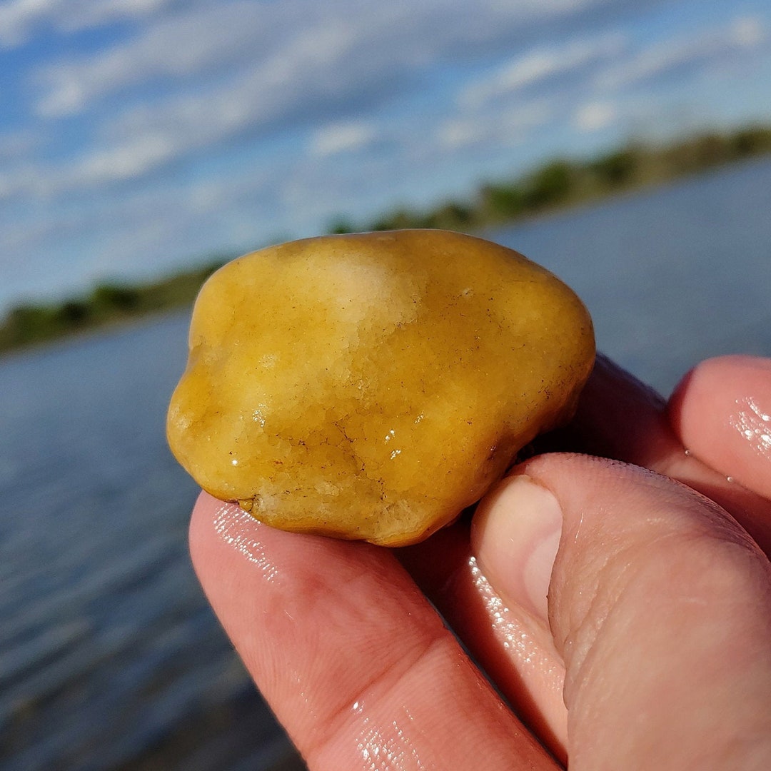 Arkansas Crowley Ridge Agate, Stromatolite Fossil, Mississippi River ...