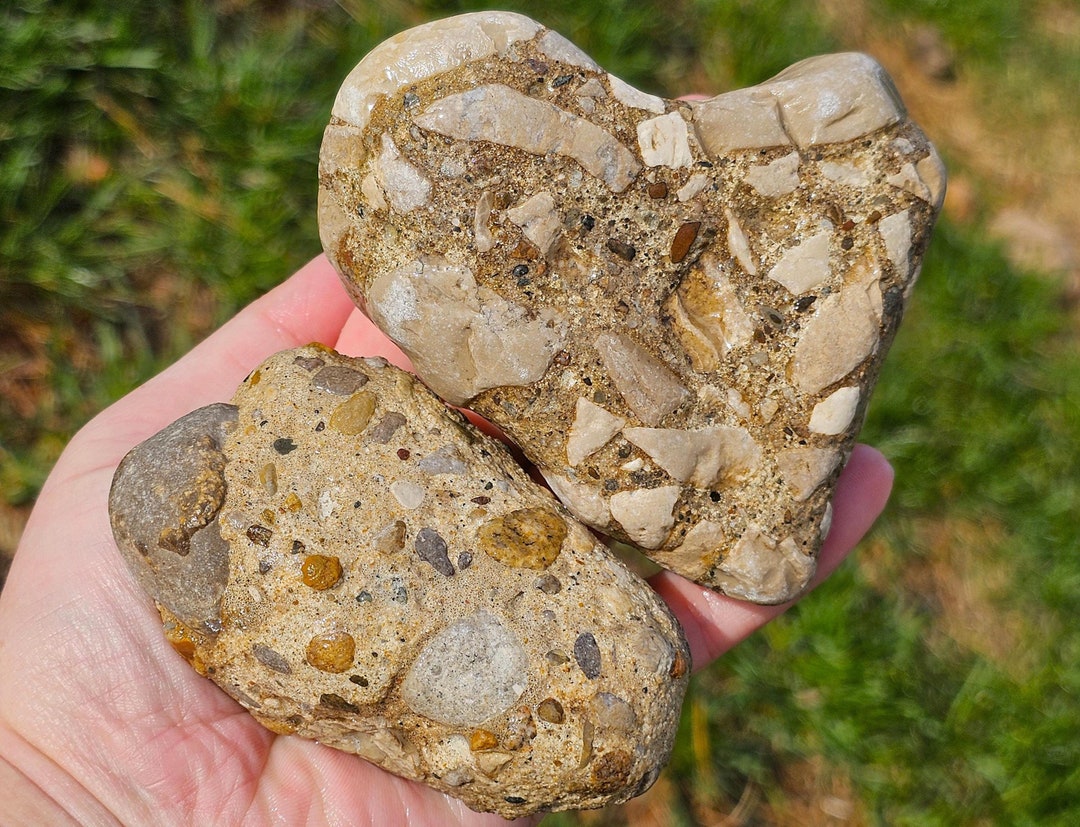 Concrete Conglomerate Rock, Sandstone Concrete, Fossil Limestone ...