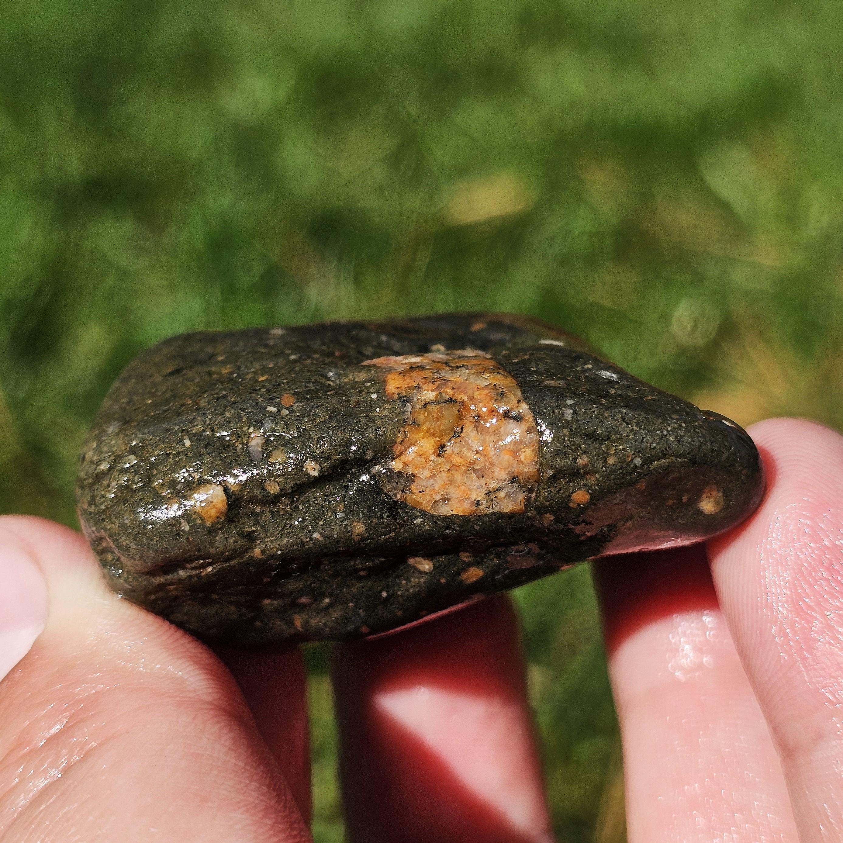 Gowganda Tillite Conglomerate, Puddingstone Breccia, Granite Pebbles ...