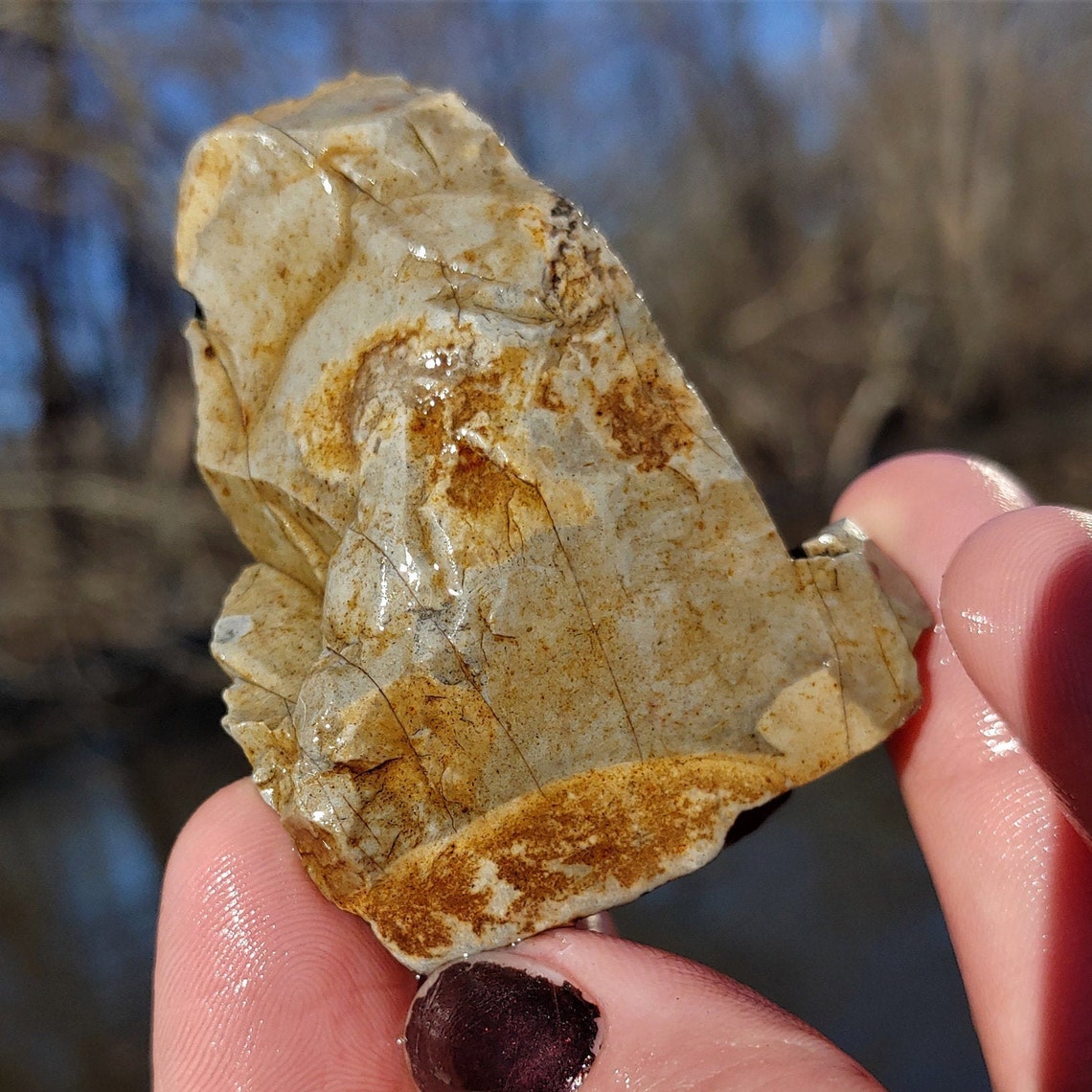 Large Grey Flint Chert Mineral Stone Covered by Black & | Etsy