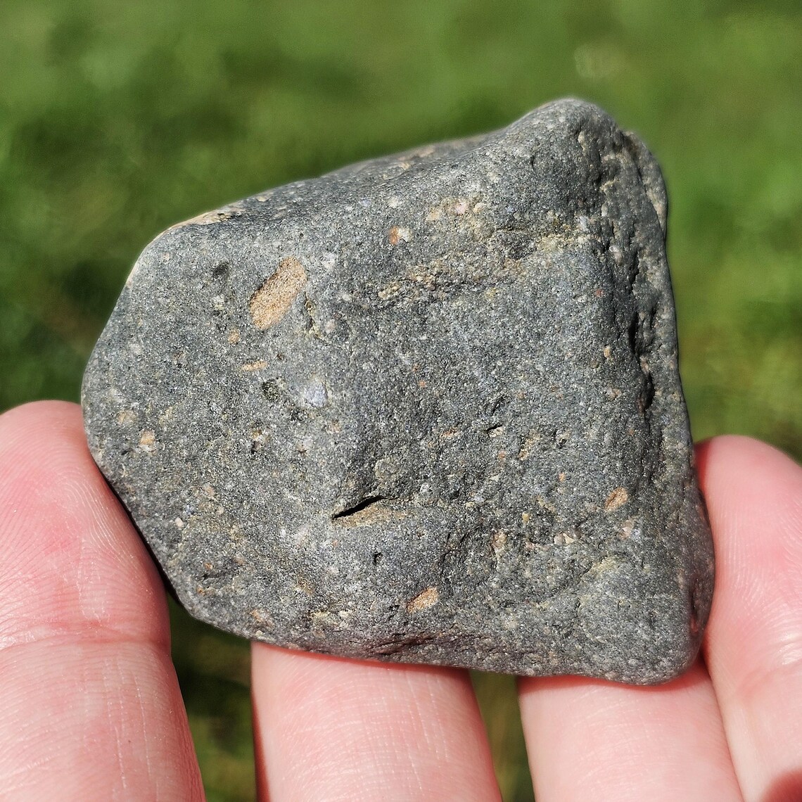 Gowganda Tillite Conglomerate, Puddingstone Breccia, Granite Pebbles ...