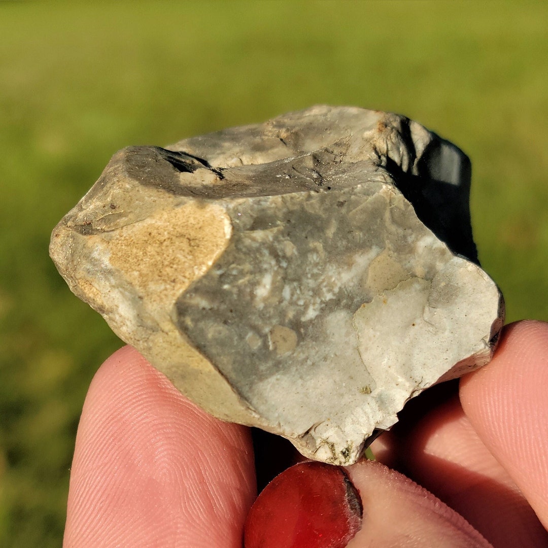Fossiliferous Chert Flint Stone W Crinoids, Limonite, Limestone ...
