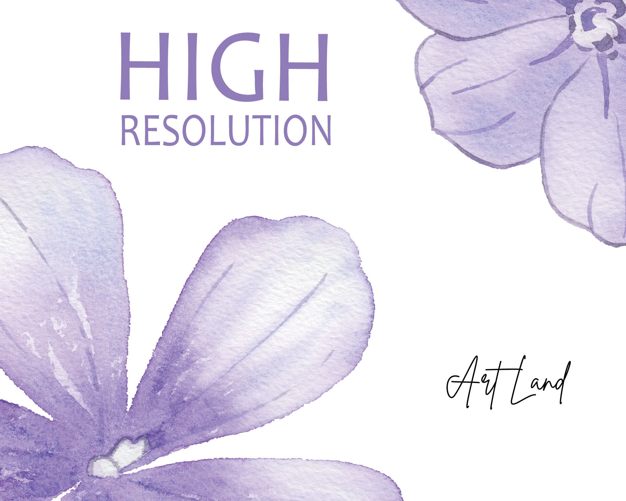 Watercolor Purple Flower Clipart: 9 Hand-painted Floral Elements (PNG ...