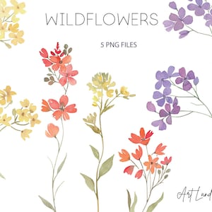 Watercolor Wildflowers Clipart, Botanical Floral, Wild Flowers ...
