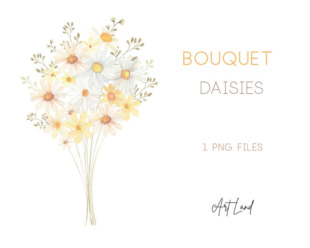 Watercolor Bouquet Daisies Clipart, Daisy Arrangement Watercolour Clip ...