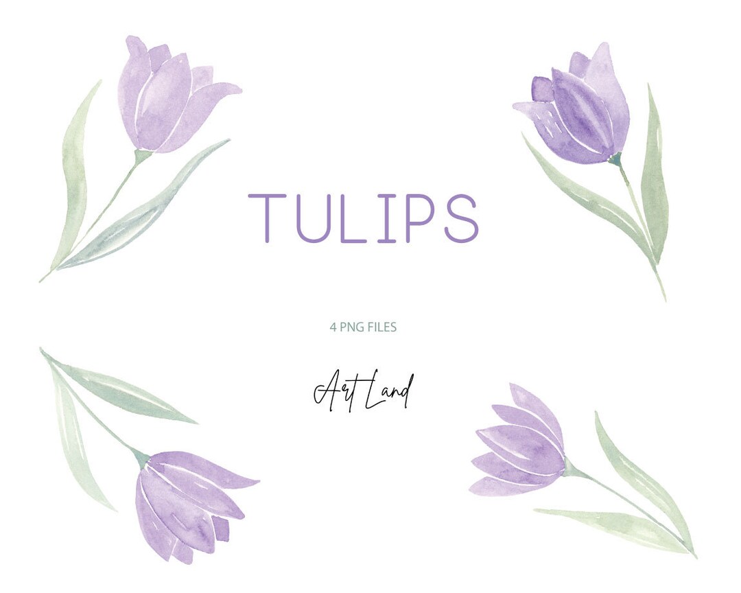 Watercolor Tulips Clipart, Watercolour Clip Art Digital, Purple Tulip ...