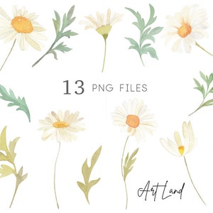 Watercolor Daisy Flower Clipart, Watercolor Clip Art, Watercolour Clip ...