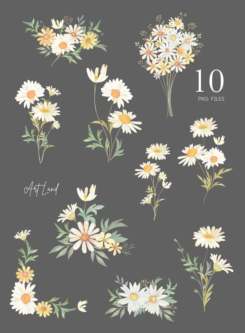 Watercolor Daisy Flower Arrangement Clipart Daisy Bouquet | Etsy