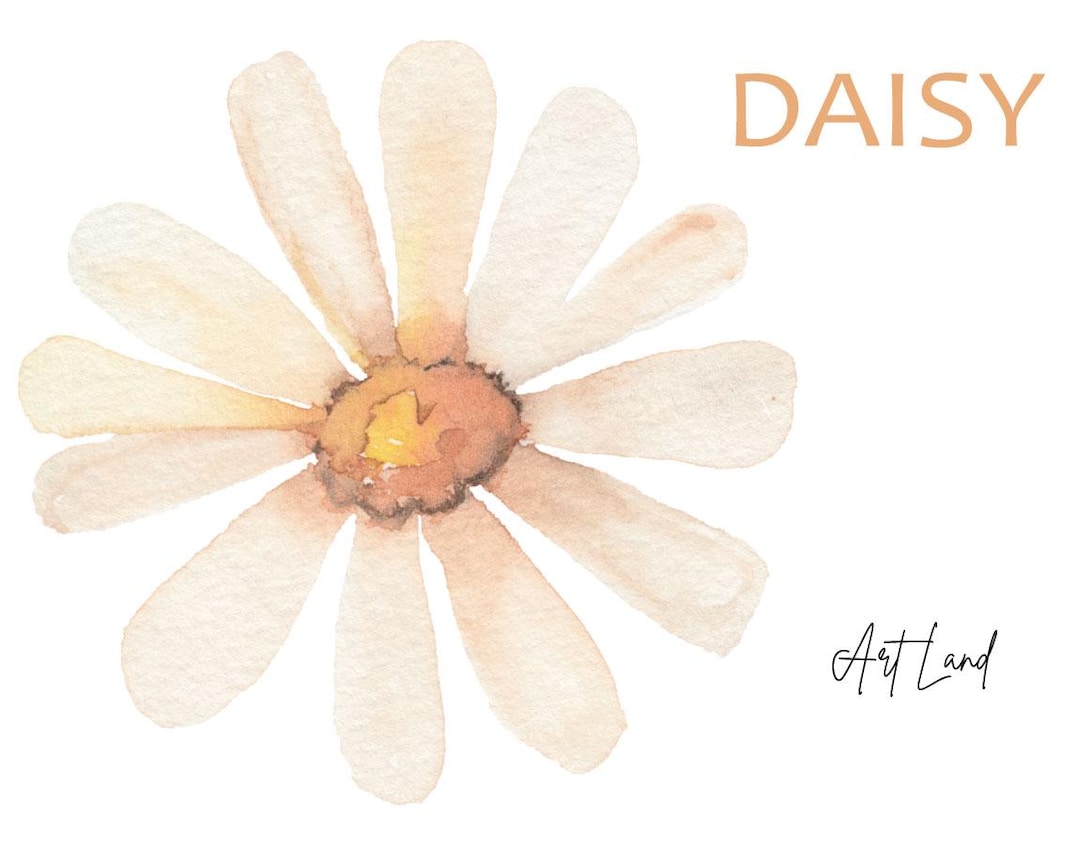 Watercolor Daisy Flower Clipart, Watercolor Clip Art, Watercolour Clip ...