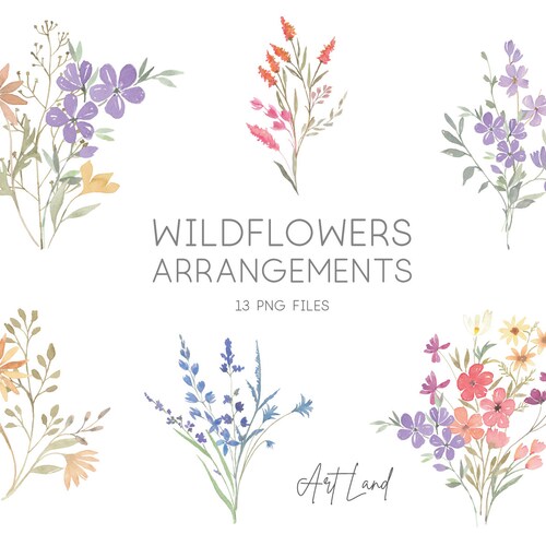Watercolor Wildflower Floral Clipart Watercolor Flowers PNG - Etsy