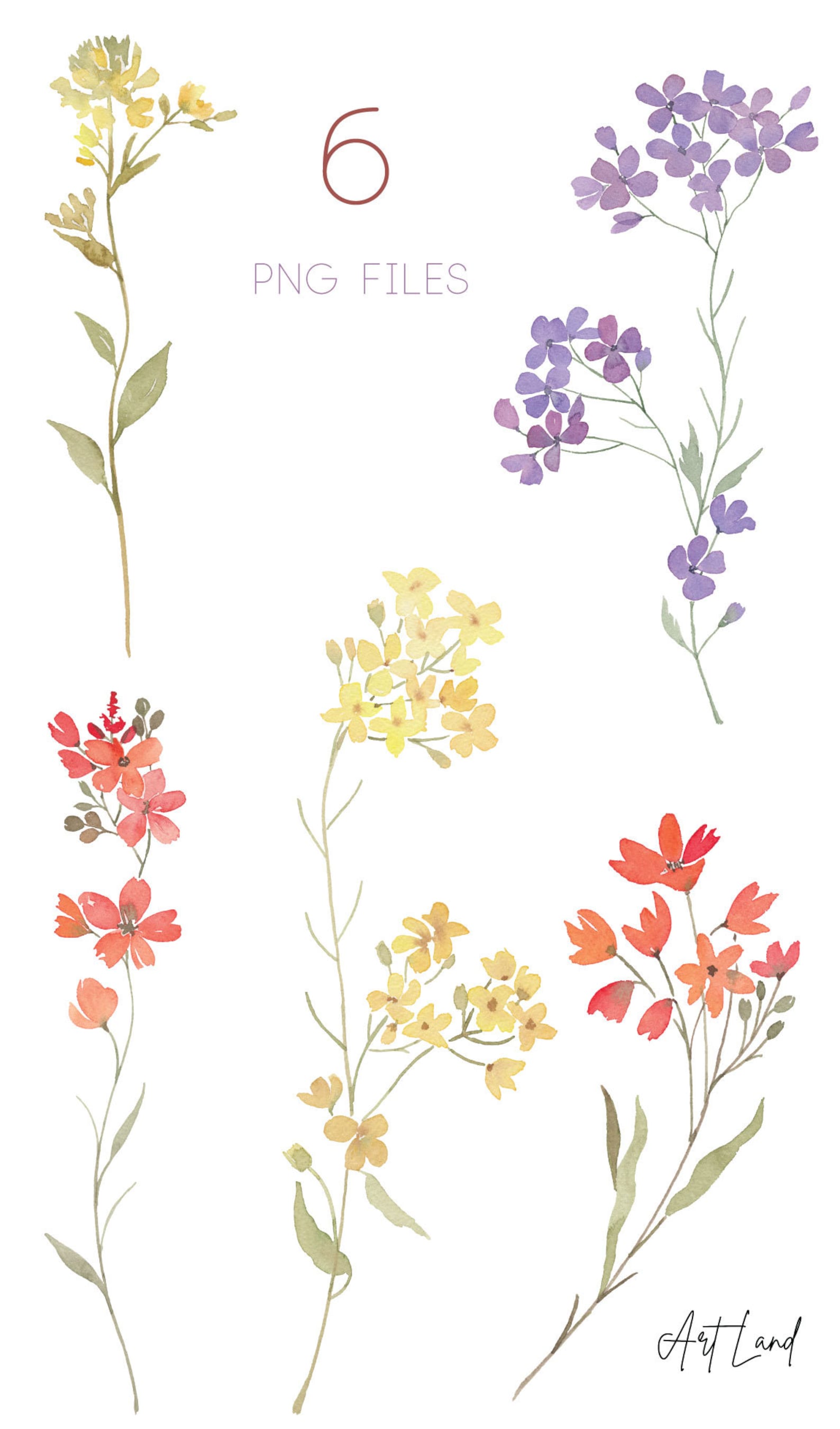 Watercolor Wildflowers Clipart Botanical Floral Wild Flowers - Etsy