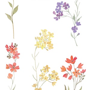 Watercolor Wildflowers Clipart, Botanical Floral, Wild Flowers ...