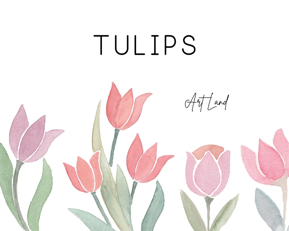 Watercolor Tulips Clipart Watercolour Clip Art Digital Tulip - Etsy