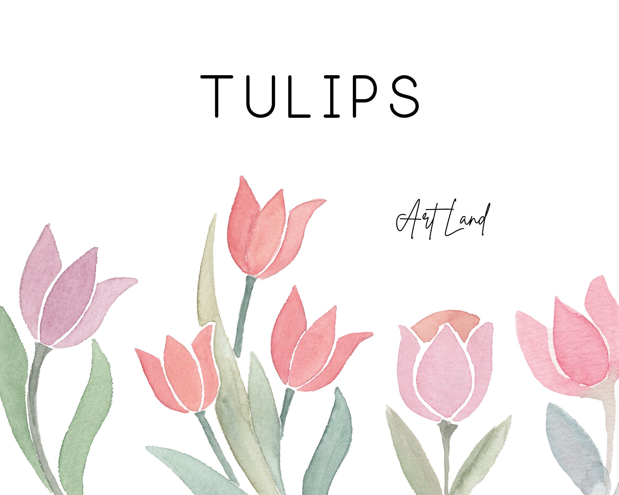 Watercolor Tulips Clipart Watercolour Clip Art Digital Tulip - Etsy