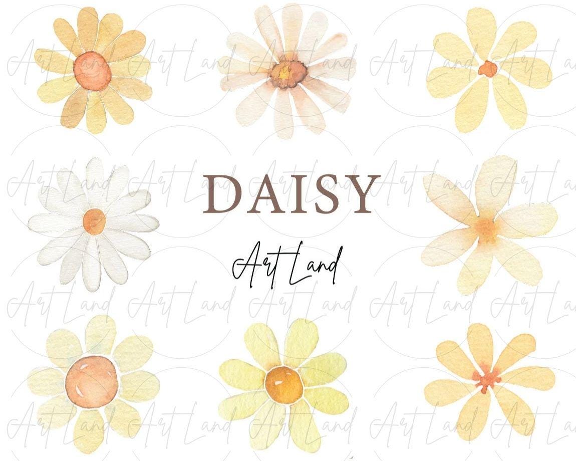 Watercolor Daisy Clipart – 18 Hand-painted Spring Floral Elements ...