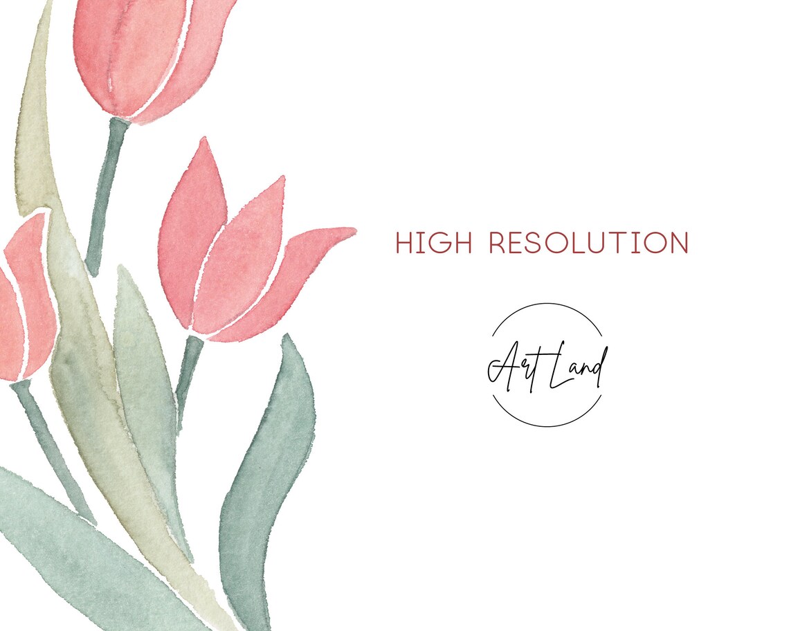Watercolor Tulips Clipart Watercolour Clip Art Digital Tulip - Etsy