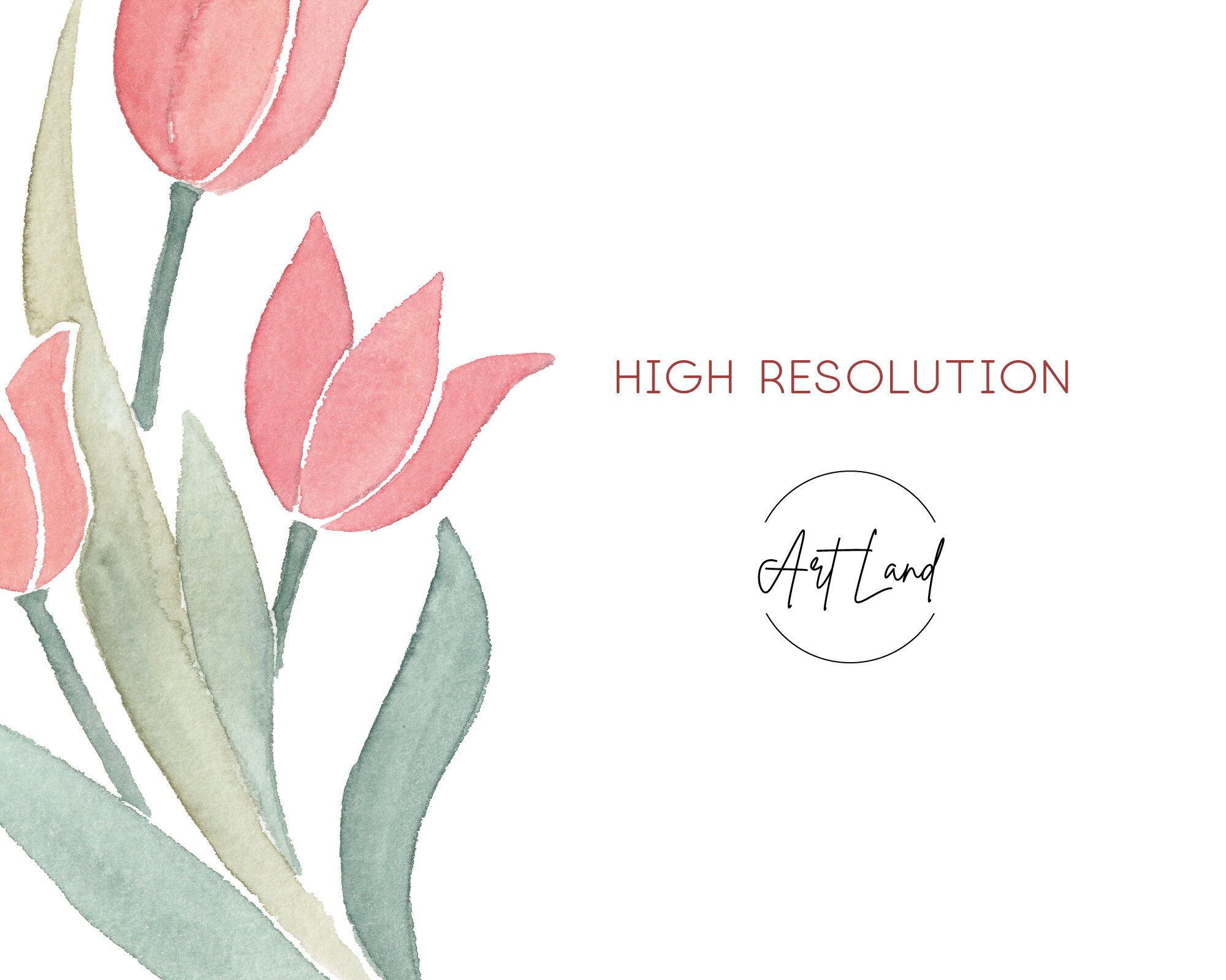 Watercolor Tulips Clipart Watercolour Clip Art Digital Tulip - Etsy