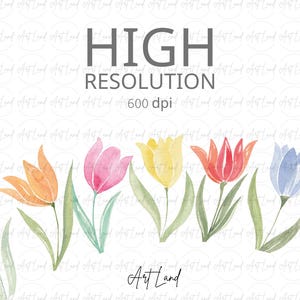 Watercolor Flower Wreath Clipart: Hand-painted Spring Floral Design ...