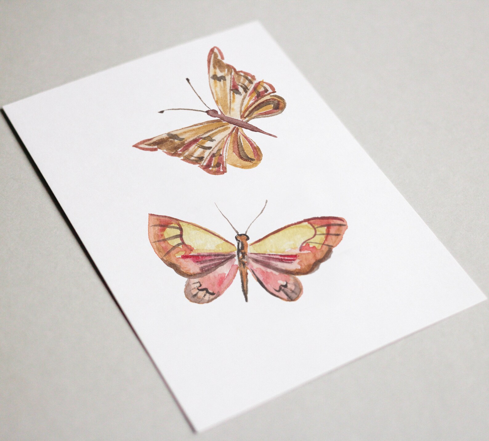 Watercolor Butterflies Clip Art Set Hand Painted Butterfly - Etsy