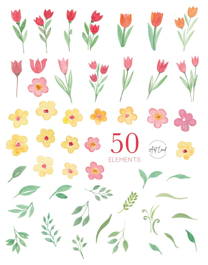 Watercolor Spring Flowers Clipart – 50 Hand-painted Pngs of Tulips ...