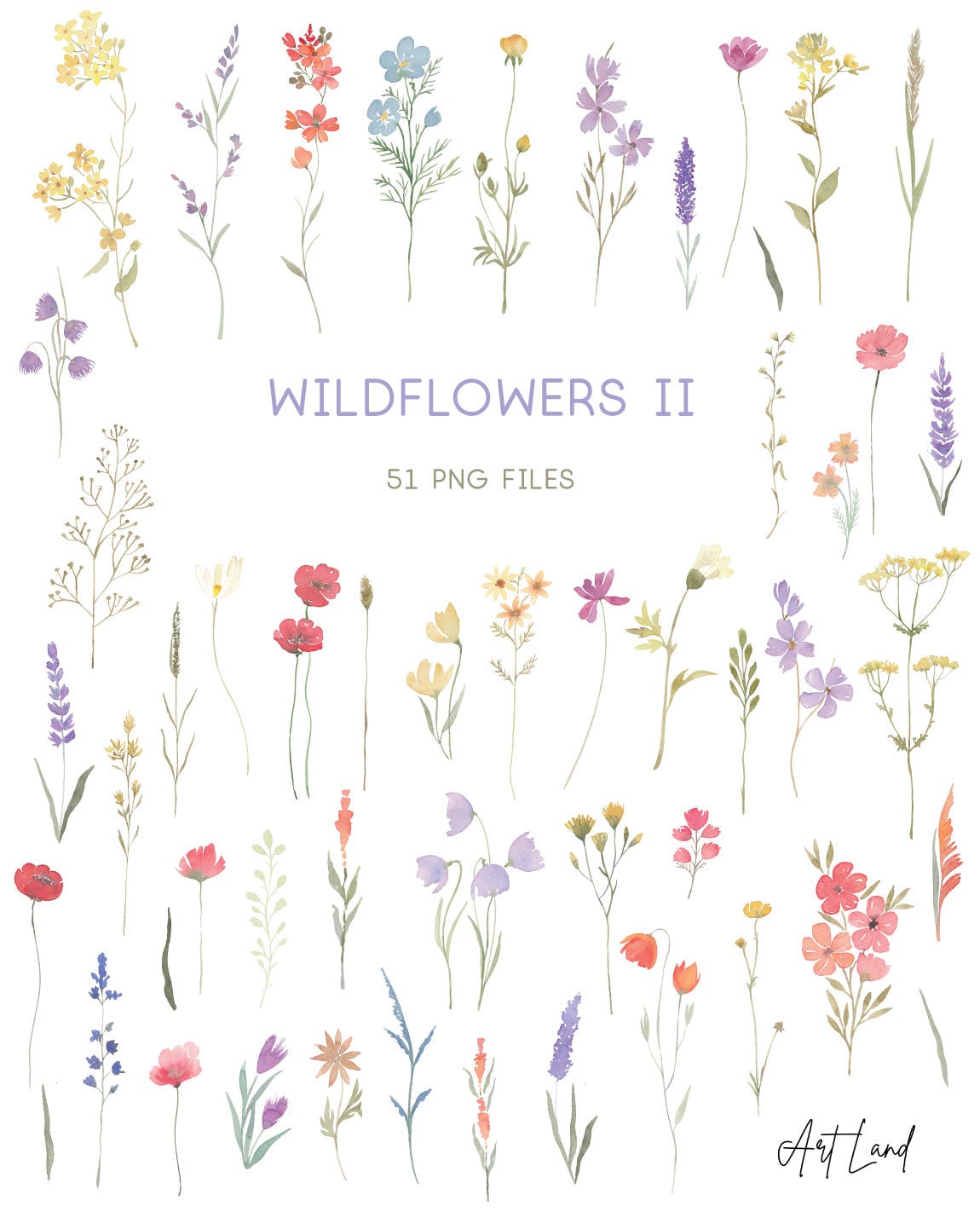Watercolor Wildflowers Clipart Botanical Floral Wild Flowers - Etsy UK