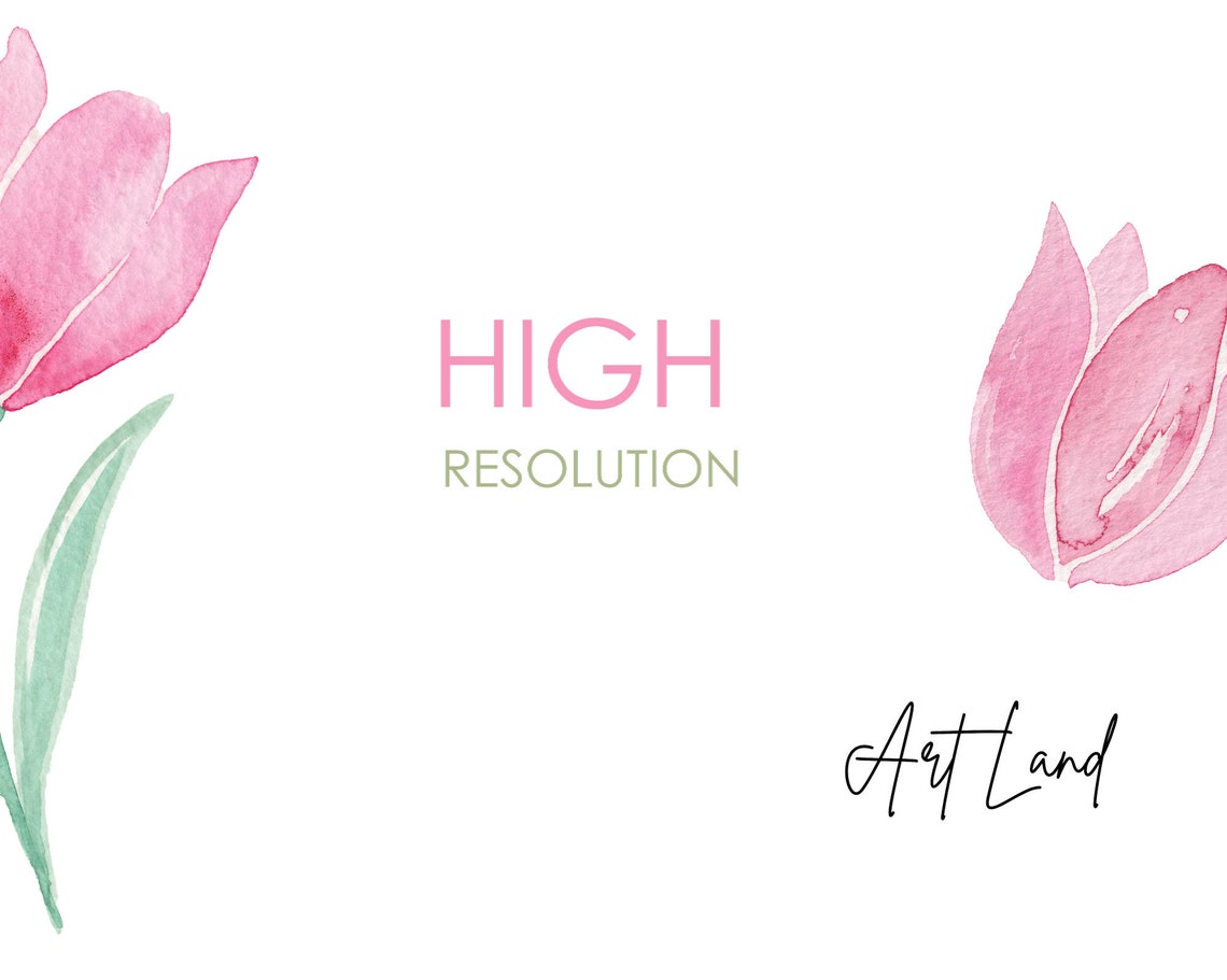 Watercolor Tulips Clipart Watercolour Clip Art Digital Pink - Etsy