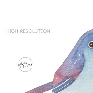 Watercolor Birds Clipart – 14 Hand-painted Garden Bird Pngs for DIY ...