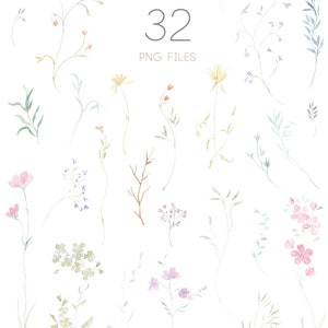 Watercolor Wildflowers Clipart, Botanical Floral, Wild Flowers ...