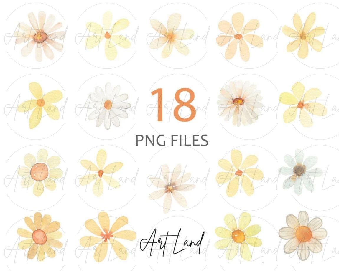 Watercolor Daisy Clipart – 18 Hand-painted Spring Floral Elements ...