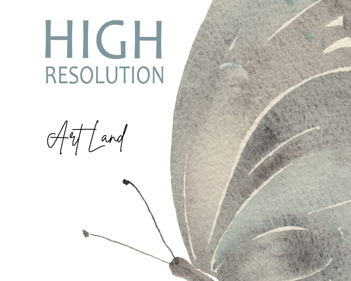 Watercolor Butterflies Clip Art Set Hand Painted Butterfly - Etsy